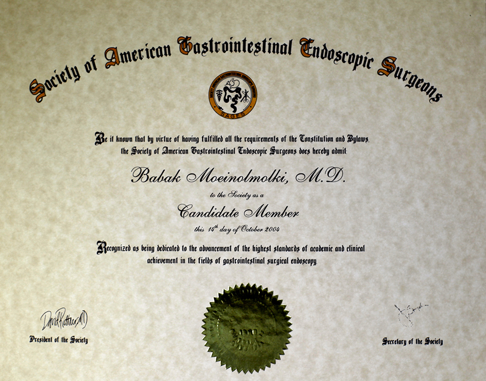 Los Angeles Cosmetic Surgeon, Dr. Babak Moein | Moein Surgical Arts